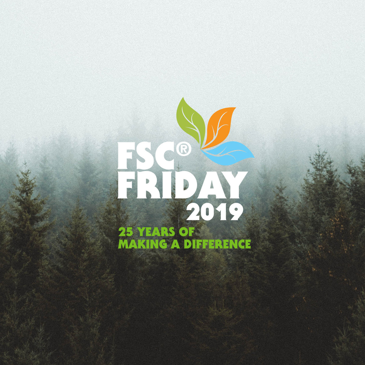 FSC Friday 2019 – Surefire Wood NI