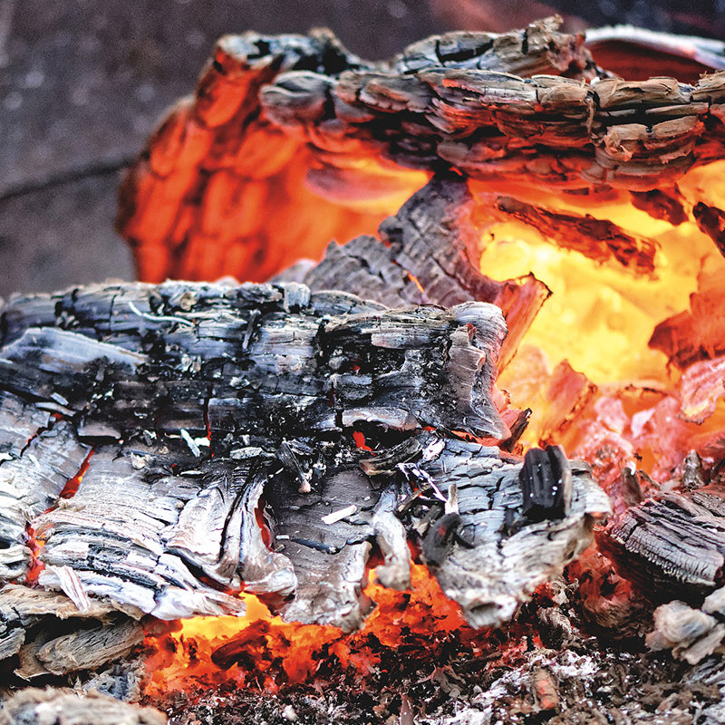 Using Wood Ash in the Garden – Surefire Wood NI